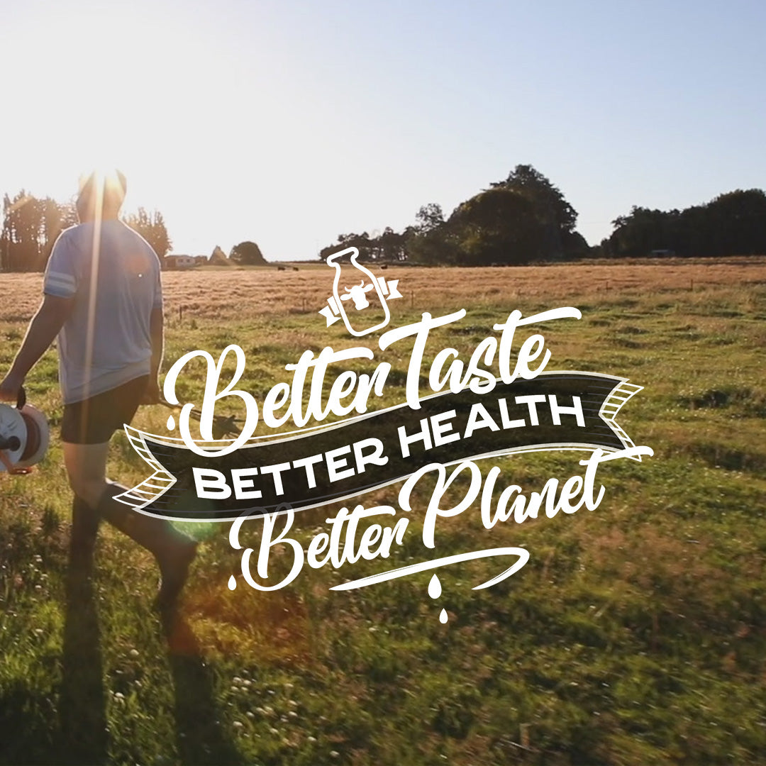 Where to Buy? – Farm Fresh South